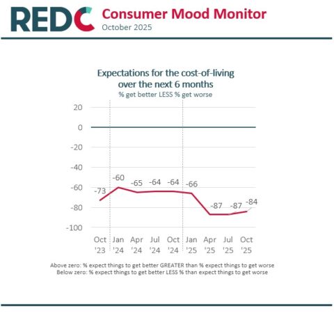 Consumer Mood Monitor Oct 2025 – ROI - RedC Research & Marketing